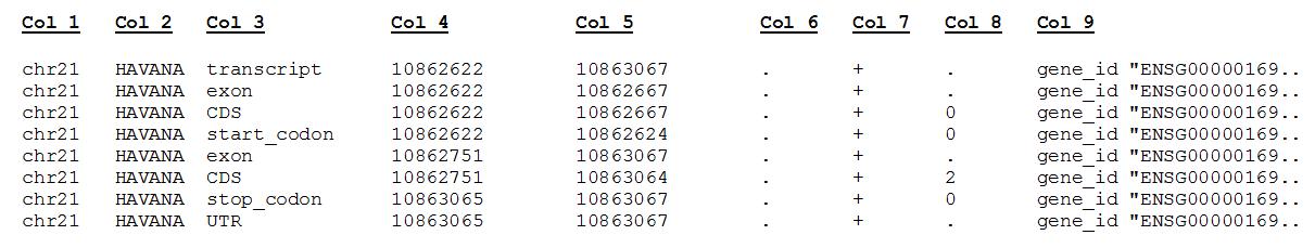 Accessing Public Data | Introduction to RNA-Seq