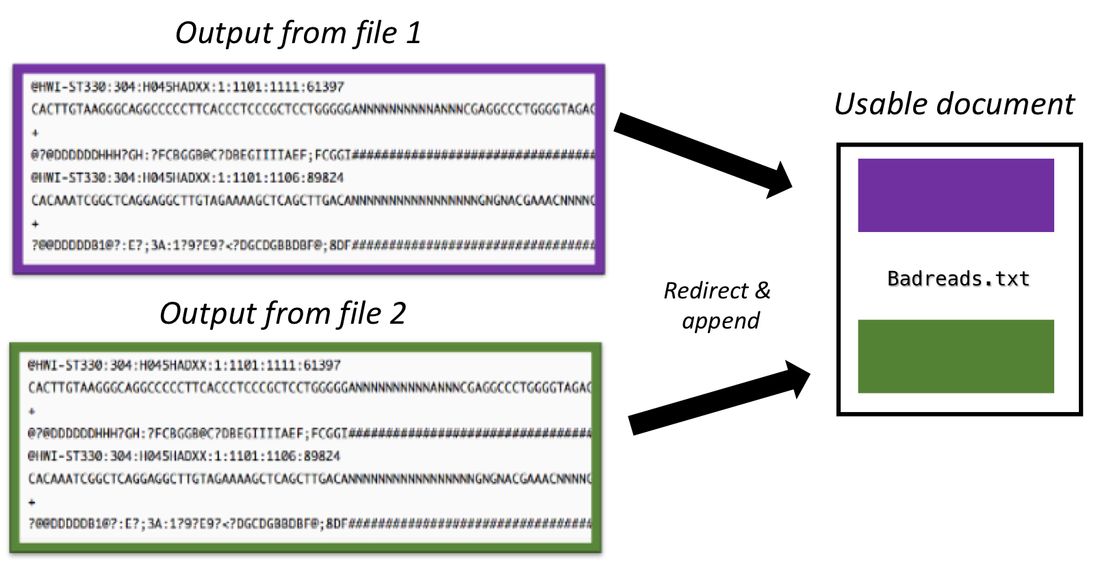 Learning objectives | Introduction to the Command Line (Shell)