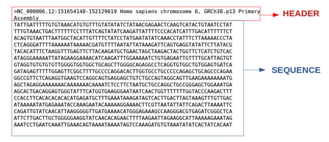 Learning Objectives | Introduction to the Command Line (Shell)