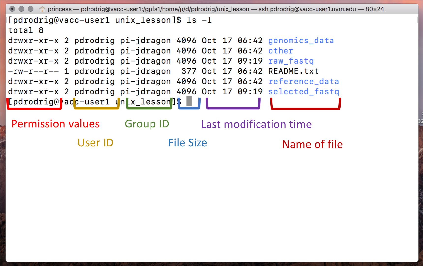 Learning Objectives for Today’s Lesson | Introduction to the Command Line (Shell)