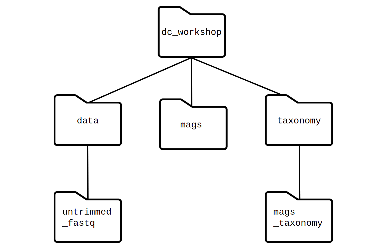 Introducing the Shell – Introduction to the Command Line for Metagenomics